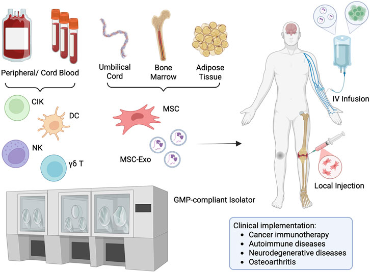 Isolator-Based POC Manufacturing for GMP-Compliant Cell Therapy and ...